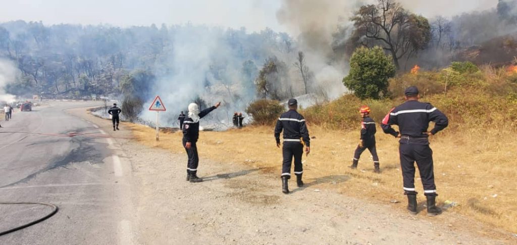 Feux de forêt : 8 foyers recensés en 24 heures - L'Algérie Aujourd'hui